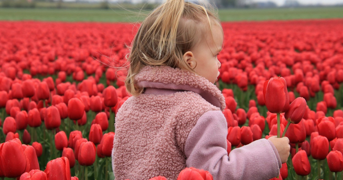 Spring Allergies and Asthma in Children - Harmony Pediatrics ...