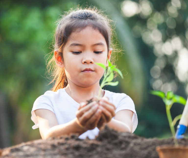 Teaching Kids About Environmental Responsibility - Harmony Pediatrics ...