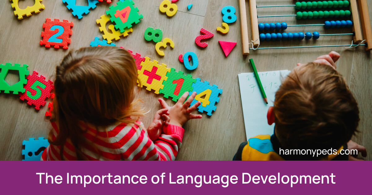 The Importance of Language Development in Early Childhood - Harmony ...